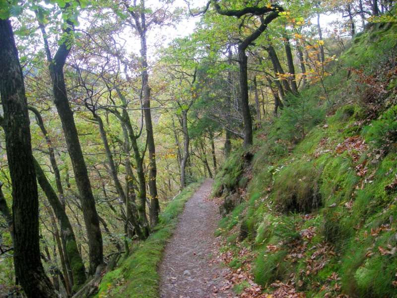 Eifelsteig 12. Etappe Manderscheid - Himmerod