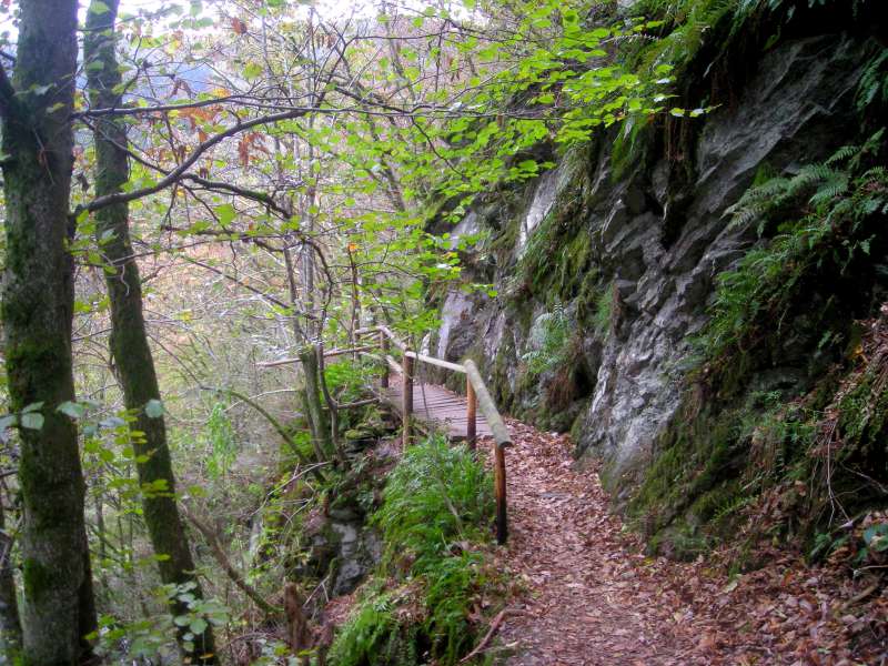 Eifelsteig 12. Etappe Manderscheid - Himmerod