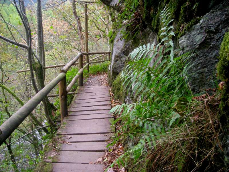 Eifelsteig 12. Etappe Manderscheid - Himmerod