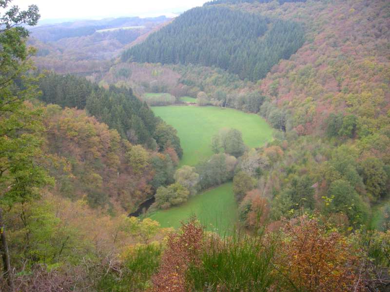 Eifelsteig 12. Etappe Manderscheid - Himmerod