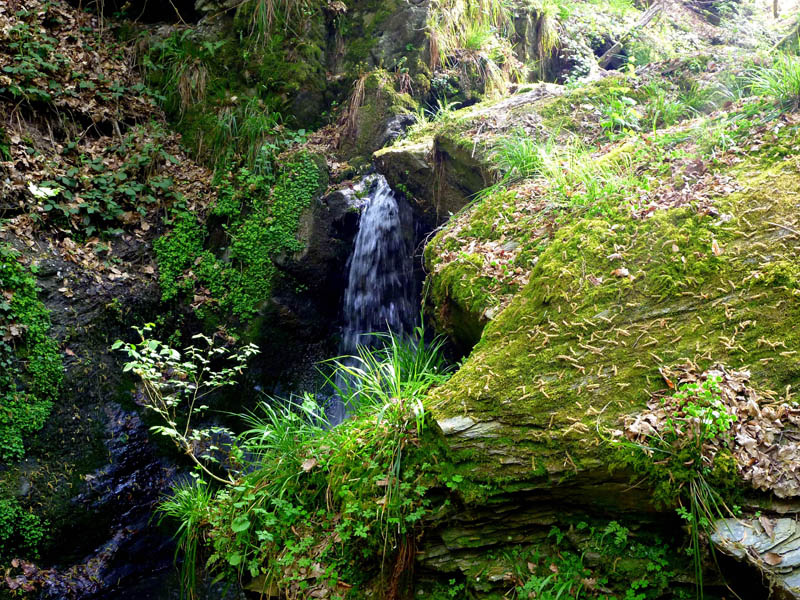 Traumschleife Baybachklamm