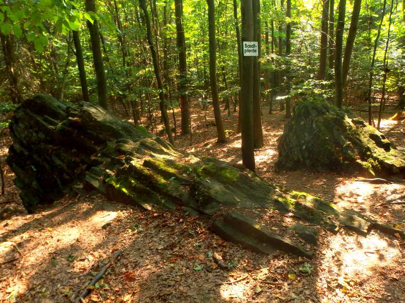 Goldsteig 1. Etappe Marktredwitz - Friedenfels
