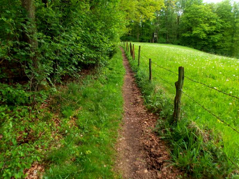 Bigge-Lister-Weg 1. Etappe Kraghammer - Eichhagen