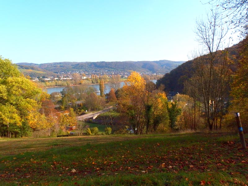 Rheinecker Felsenweg