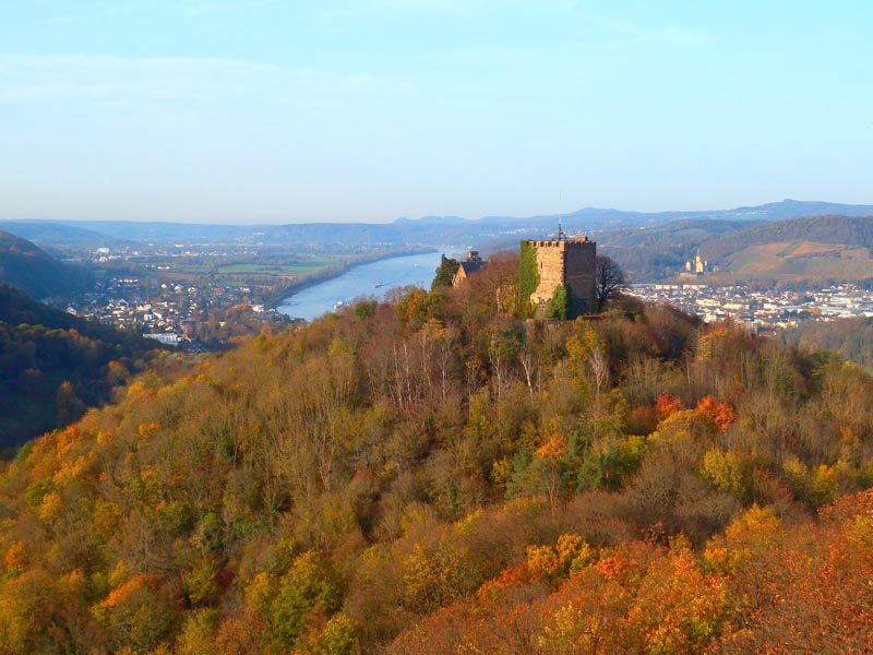Rheinecker Felsenweg